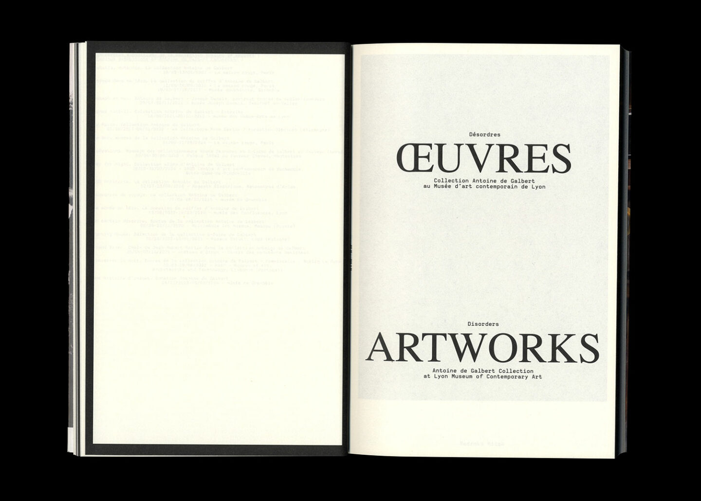 Disorders — Antoine de Galbert Collection at Lyon Museum of ...